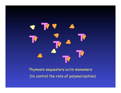Introduction To Polymerization Kinetics
