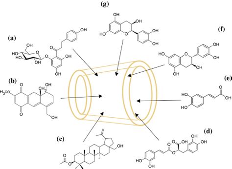 Schematic Representation Of Inclusion Complex Between Hp β Cd And A