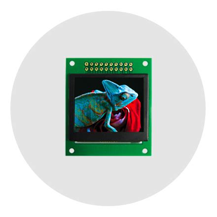 Newhaven Display LCD TFT VFD OLED Custom Display Manufacturer