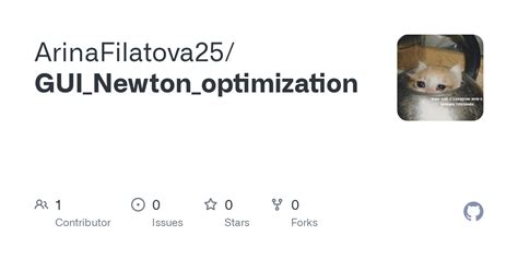 github arinafilatova25 gui newton optimization