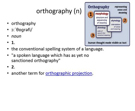 Orthography Vocabulary Cards Vocabulary Vocabulary Flash Cards