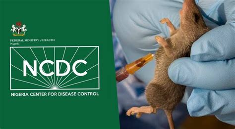 Ncdc Confirms 54 Lassa Fever Cases 185 Deaths Rate In Early 2025
