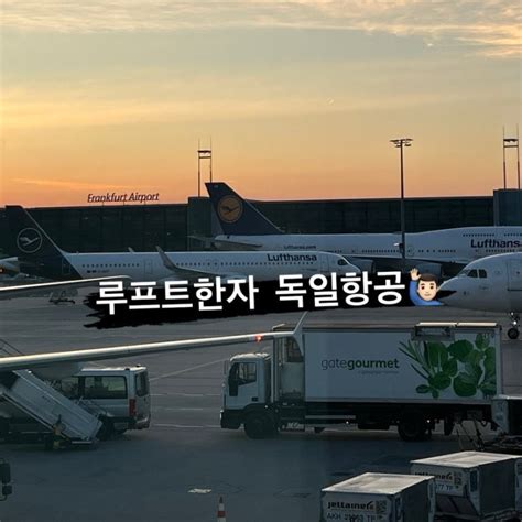 루프트한자 독일 항공 인천 프랑크푸르트 기내식 경험 후기 네이버 블로그