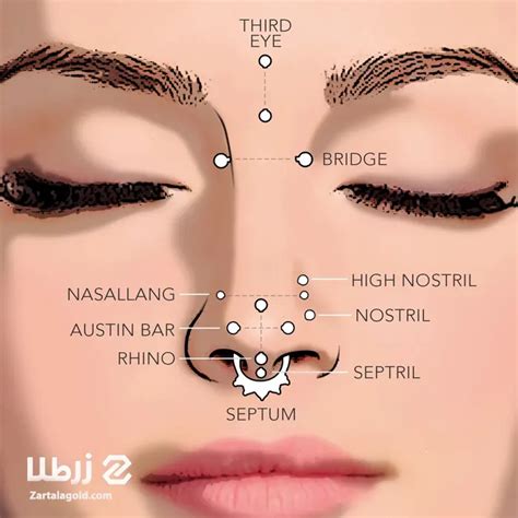 انواع پیرسینگ طلا با اسامی آن زرطلاگلد