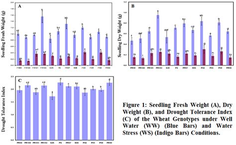 Selection Criteria To Assess Drought Stress Tolerance In Wheat Genotypes Using Physiological And