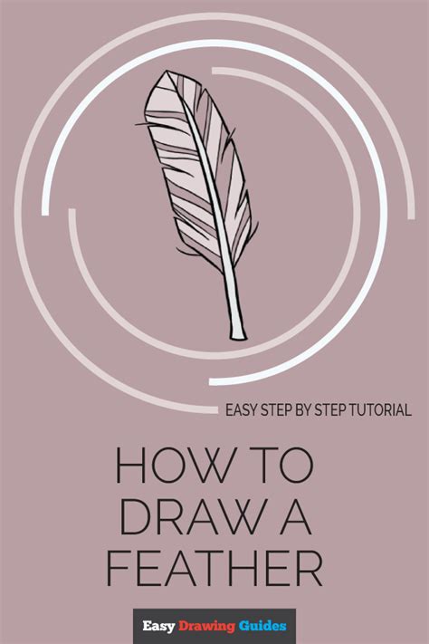 Feather Drawing Step By Step At PaintingValley Com Explore Collection Of Feather Drawing Step