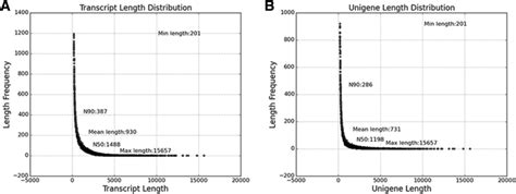 statistics of transcripts and unigenes obtained from rna seq data a