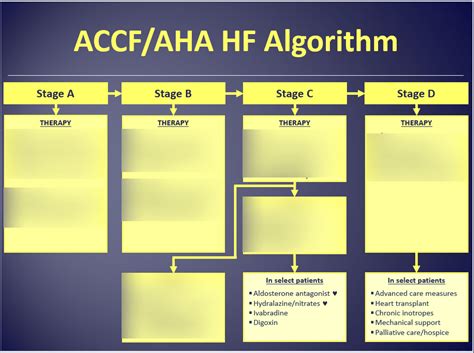 Accf Aha Hf Algorithm Diagram Quizlet