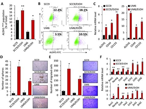 Chronic Etoh Exposure Enhances Csc Population And Property Of Oscc A