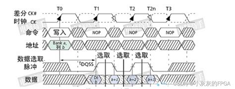 Xilinx DDR MIG系列内存基本概念及原理 ddr mig 复位 CSDN博客
