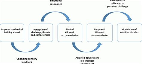 November 2017 In Review Adaptation Explained Hmmr Media