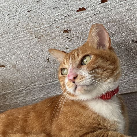 Hkepc 【真的解決了嗎？😱】外媒報導，asrock 於今年 5 月曾公開承認其 Amd 800 系列主機板引發大量 Ryzen