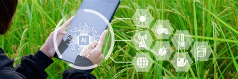 The Plight Of The Product Lead Using Drone Imagery And Machine Learning Sentera