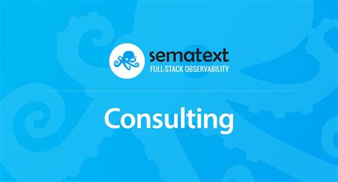 Elasticsearch Solr And Opensearch Consulting Sematext