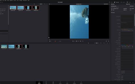 how to rotate proxies r davinciresolve