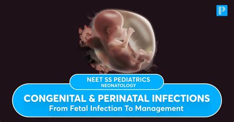 Congenital Infections Cmv Rubella Toxo And More Congenital Infections Cmv Rubella Toxo And More