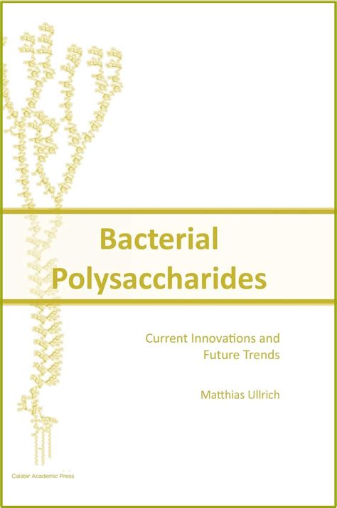 Bacterial Polysaccharides Current Innovations And Future Trends