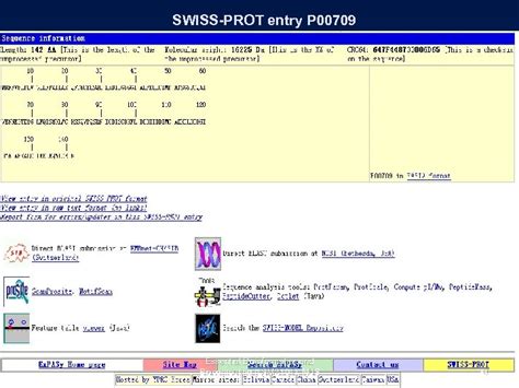 Essential Bioinformatics And Biocomputing Lsm 2104 Section I
