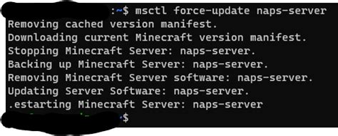 Weird Strings When Running Force Update Issue Minecraftservercontrol Mscs Github