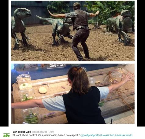 Jurassic World Pratt Memes