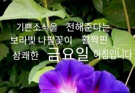 오늘의 덕담 뉴스트림