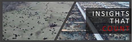 cattlequants now offers full service feedlot inspections and reports