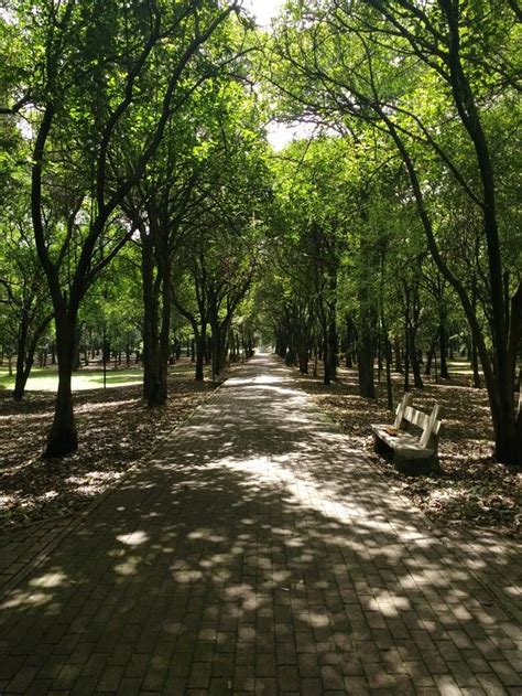 Bosque De Chapultepec Oasis Verde En Ciudad De México Revista Kena México