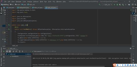 hdfs java api的应用