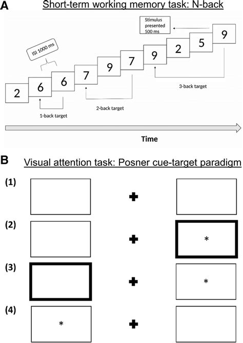 Schematic Representation Of The Cognitive Tasks A The N Back Task Download Scientific