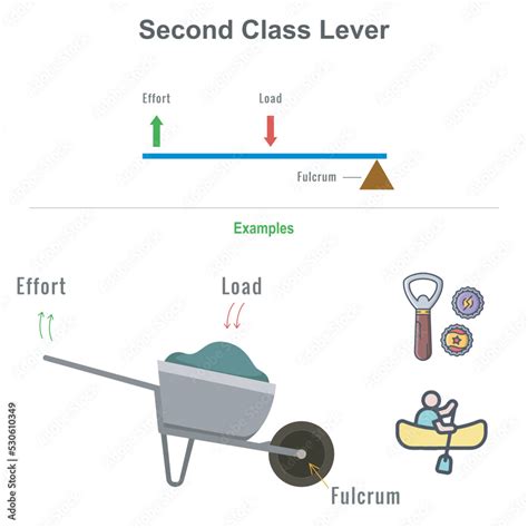 Second Class Lever With Example Vector Illustration Stock Vector