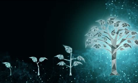 The 6 Most Common Blockchain Programming Languages Blockchain Beach