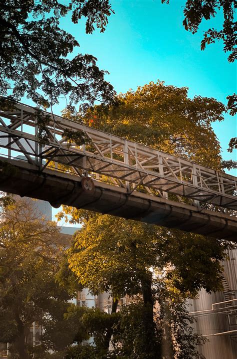 By Cecelia Lynn Guest Artist At Holy City Tattoo Collective In Charleston Sc R Tattoos