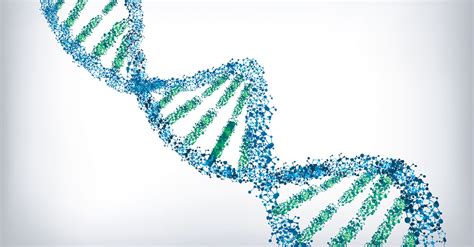 Dna Inheritance Patterns X Dna And Autosomal Dna Legacy Tree