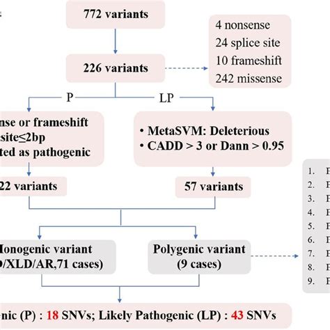 overview of the filtering process of potential causative variants for