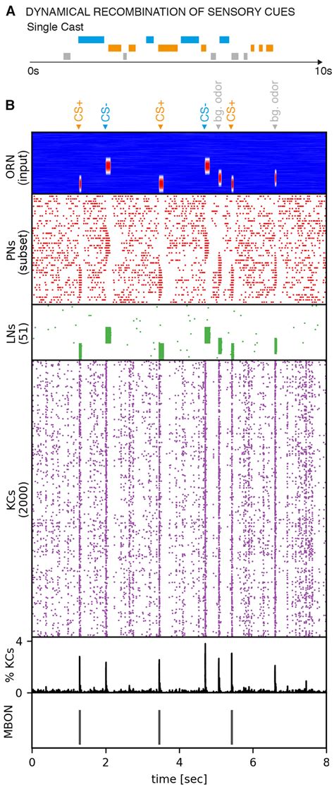 Recognition Of Valenced Odor Cues In Complex Dynamic Scenes A Sketch Download Scientific