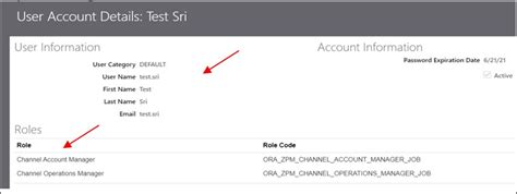 how to enable user proxy impersonation within oracle cloud erp sqlguru ai