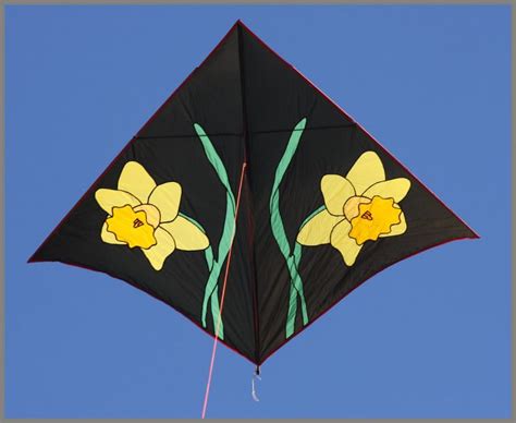 The 8 Types Of Kites And How To Fly Them Recreation Insider