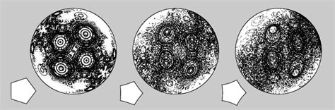 For Small Perturbations Of The Pentagon The Phase Portraits Suggest