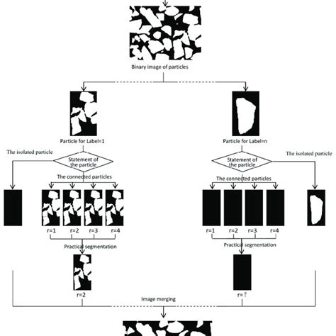 the morphological multiscale algorithm flow chart for adhesion