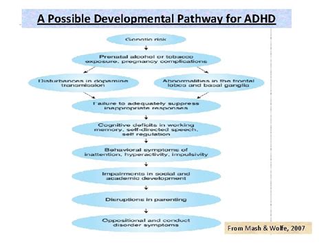 Attention Deficit Hyperactivity Disorder Adhd Introduction Adhd Is