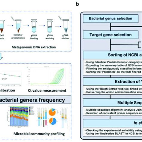 Bacterial Identification Result By Sanger Sequencing Download