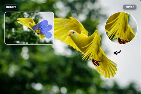 Remove Signature From Photo With AI For Free AI Ease