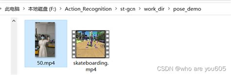 ST GCN可视化python mmskl py pose demo st gcn可视化代码 CSDN博客