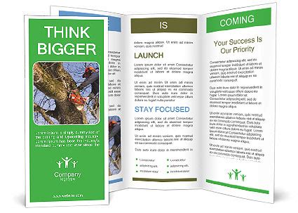 A Tree Surgeon Cuts Brochure Template Design ID 0000092902 SmileTemplates Com