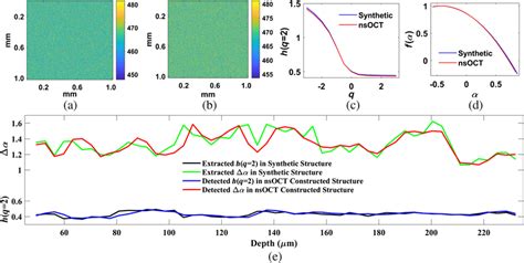 Detection Of Randomized Submicron Structural Multifractality Using