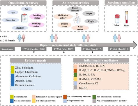 Study Design And Data Collection Data Collection Was Categorized Into