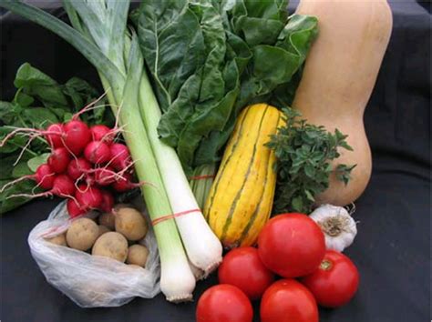 Eat Your Greens Making The Most Of Summer Veg Greener Kirkcaldy