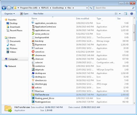 Fast And Easy File Transfer Between The User And The Server RDPlus