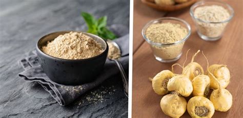 Maca Root Benefits For Men Best Maca Root For Mens Health Vinatura