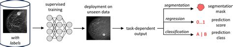Weakly Supervised Deep Learning In Radiology Radiology